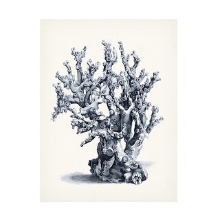 Vision Studio 'Blue Antique Coral II' Canvas Art - Bed Bath & Beyond ...
