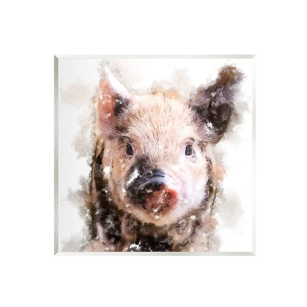 Stupell Baby Pig Face Abstract Portrait Wall Plaque Art by Kim Curinga ...