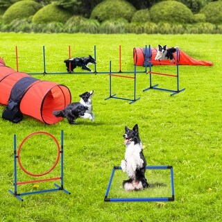 Moasis Portable Dog Agility Training Equipment, Pet Training Set - Bed ...