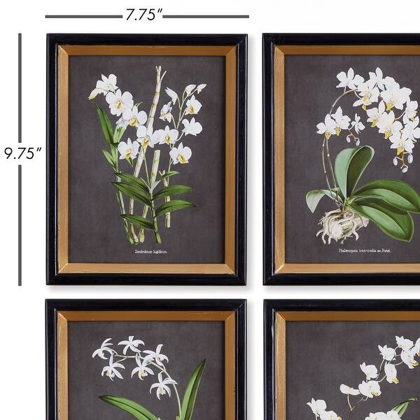 Orchid Study Petite, Set Of 4 - Bed Bath & Beyond - 33735541