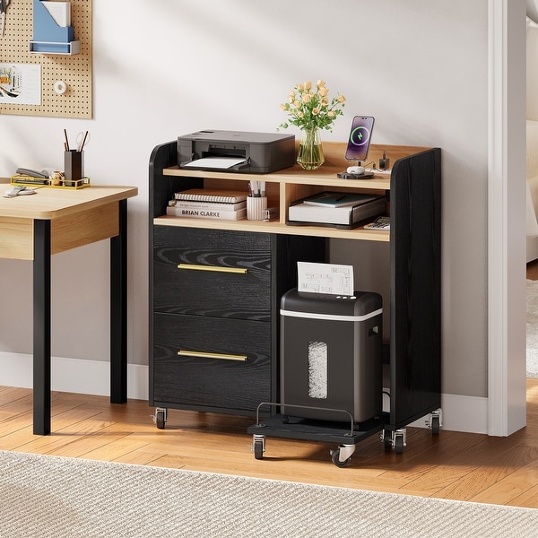 Home office printer cabinet store