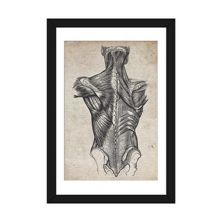 iCanvas "Vintage Spine Medical Print" by FisherCraft - Bed Bath ...