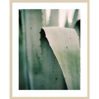 Succulent I by Justine Milton Wood Framed Wall Art Print - Svelte ...
