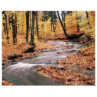 "New York State, Erie County, Emery Park, Stream of water flowing ...