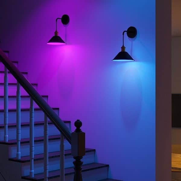 purple wall light