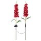 Set of 2 Solar Powered Hyacinth Garden Stakes - 17.250 x 3.500 x 3.380 ...