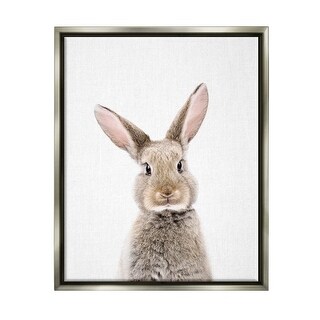 Stupell Rabbit Face Portrait Framed Floater Canvas Wall Art Design by ...