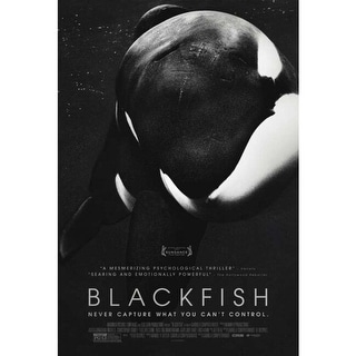 blackfish documentary poster