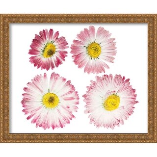 13x10 Gold Shadowbox Frame - Interior Size 13x10 by 1 Inch Deep - Gold ...