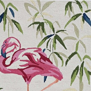5' x 7' Ivory or Pink Flamingo Indoor Area Rug - 3'6" - Bed Bath ...