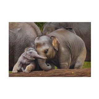Steve Crockett 'Asian Elephant Family' Canvas Art - Bed Bath & Beyond ...