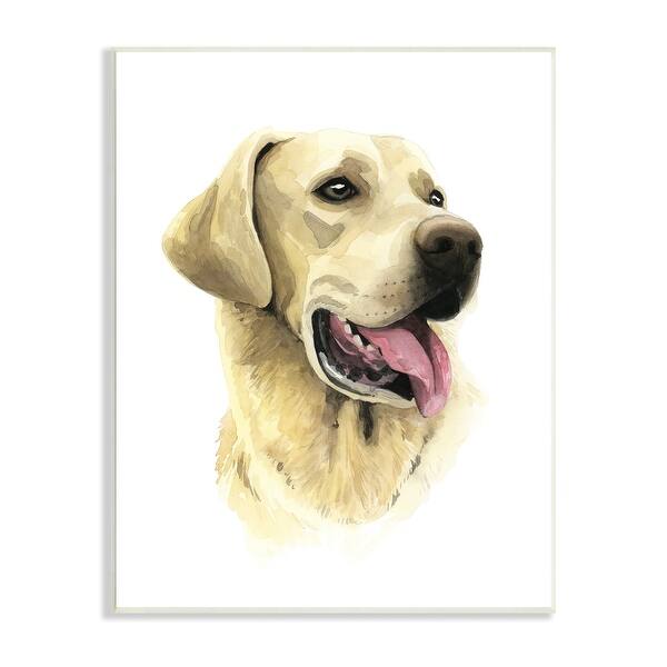 labrador wall plaques