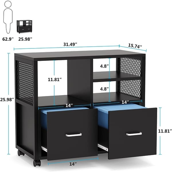 2 Drawer Lateral File Cabinet, Large Filing Cabinet Fits Letter/Legal ...