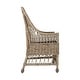 Bayside Curvilinear Rattan Cushioned Dining Chair by East at Main ...