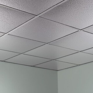 FASÄDE Border Fill Decorative Vinyl 2ft x 2ft Lay in Ceiling Panel in ...
