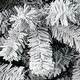 National Tree Company 9 ft Unlit Flocked Acacia Artificial Christmas ...