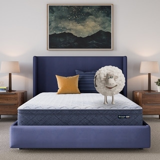 Serta Five Star Mattress Sleep to Go 10" Plush Pillow Top Mattress in a ...