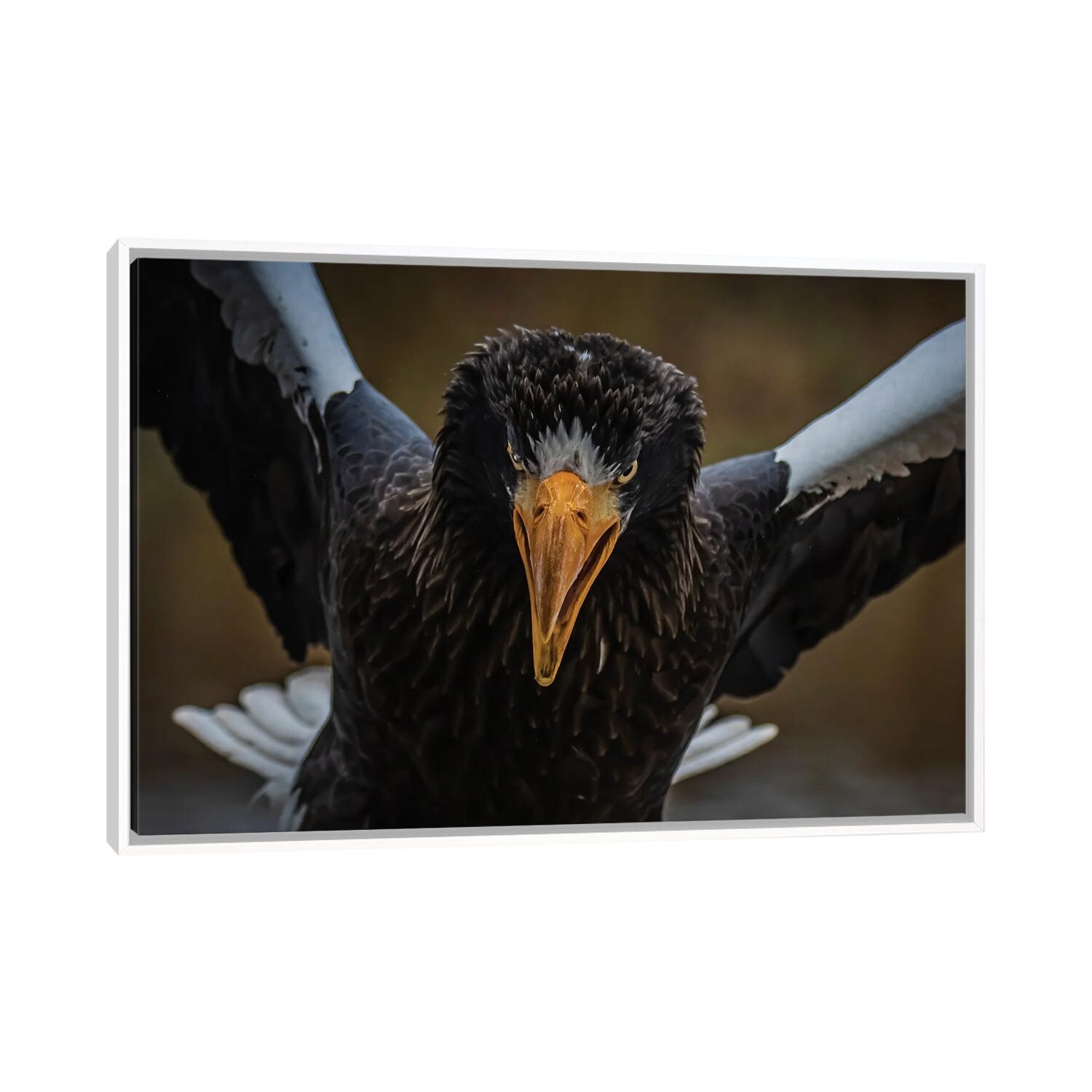 angry bird white eagle