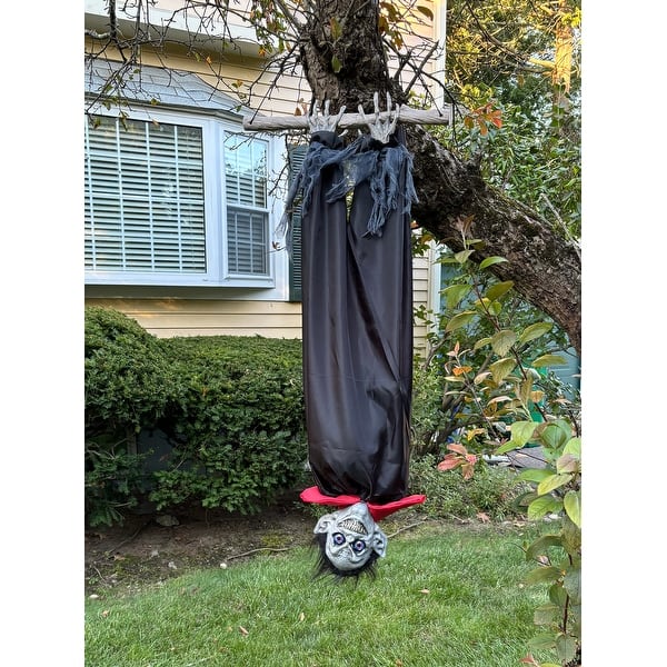 hanging upside down trap