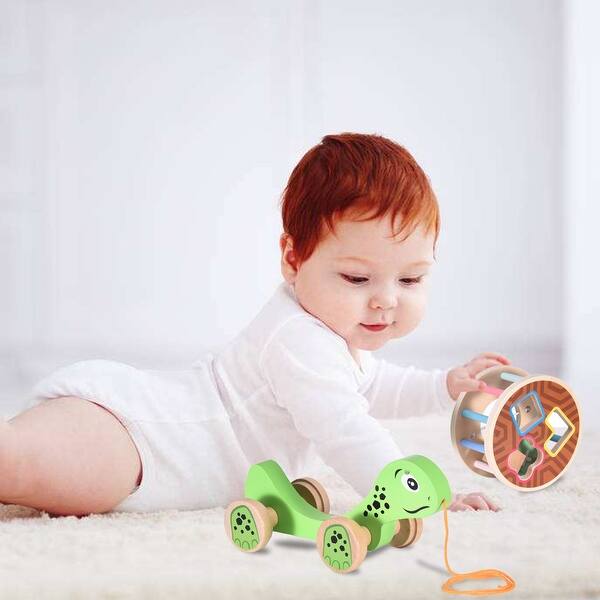 Wooden Pull Toy A-Turtle , Shape Sorter Push Pull Toy Car for Toddlers ...