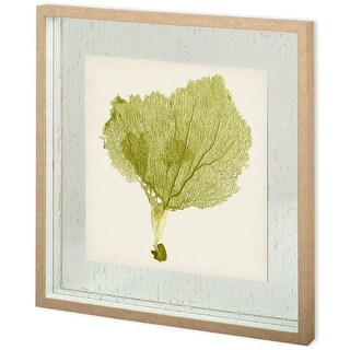 Custom Sea Fan VIII Framed Art Print - Bed Bath & Beyond - 39196928