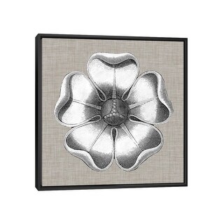 iCanvas "Neutral Rosette Detail VI" by Vision Studio Framed - Bed Bath ...