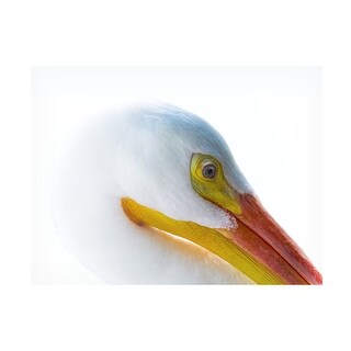 Lara C Chapman 'Rescinding' Canvas Art - Bed Bath & Beyond - 39538844