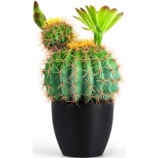 14" & 30" Tall Rustic Artificial Cactus w/ Soft Spines, Plant Decor w ...