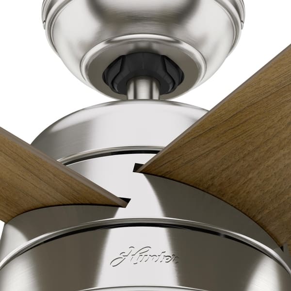 Hunter 36" Tarrant Ceiling Fan with LED Light, Pull Chain ...