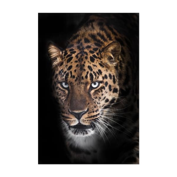 Severe serious muzzle of a leopard Photography Art Print/Poster - Bed ...