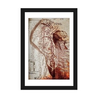 iCanvas "Victorian Anatomy" by Unknown Artist - Bed Bath & Beyond ...