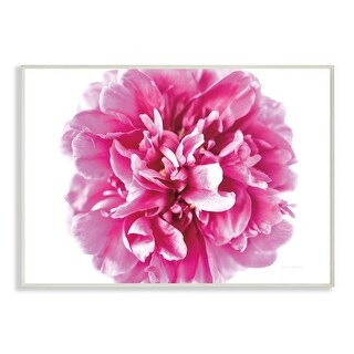 Stupell Pink Pop Flower Petals Pink Curves Photograph Wood Wall Art ...