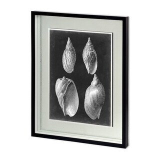 Alabaster Shells III Framed Art Print - Bed Bath & Beyond - 39191813