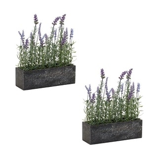 Potted Lavender (Set of 2) - Bed Bath & Beyond - 37547023
