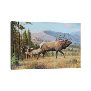 iCanvas "Answering The Call" by Grant Hacking Canvas Print - Bed Bath ...