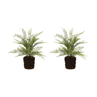 Potted Fern Plant (Set of 3) - 16.75 x 16.75 x 21 - Bed Bath & Beyond ...