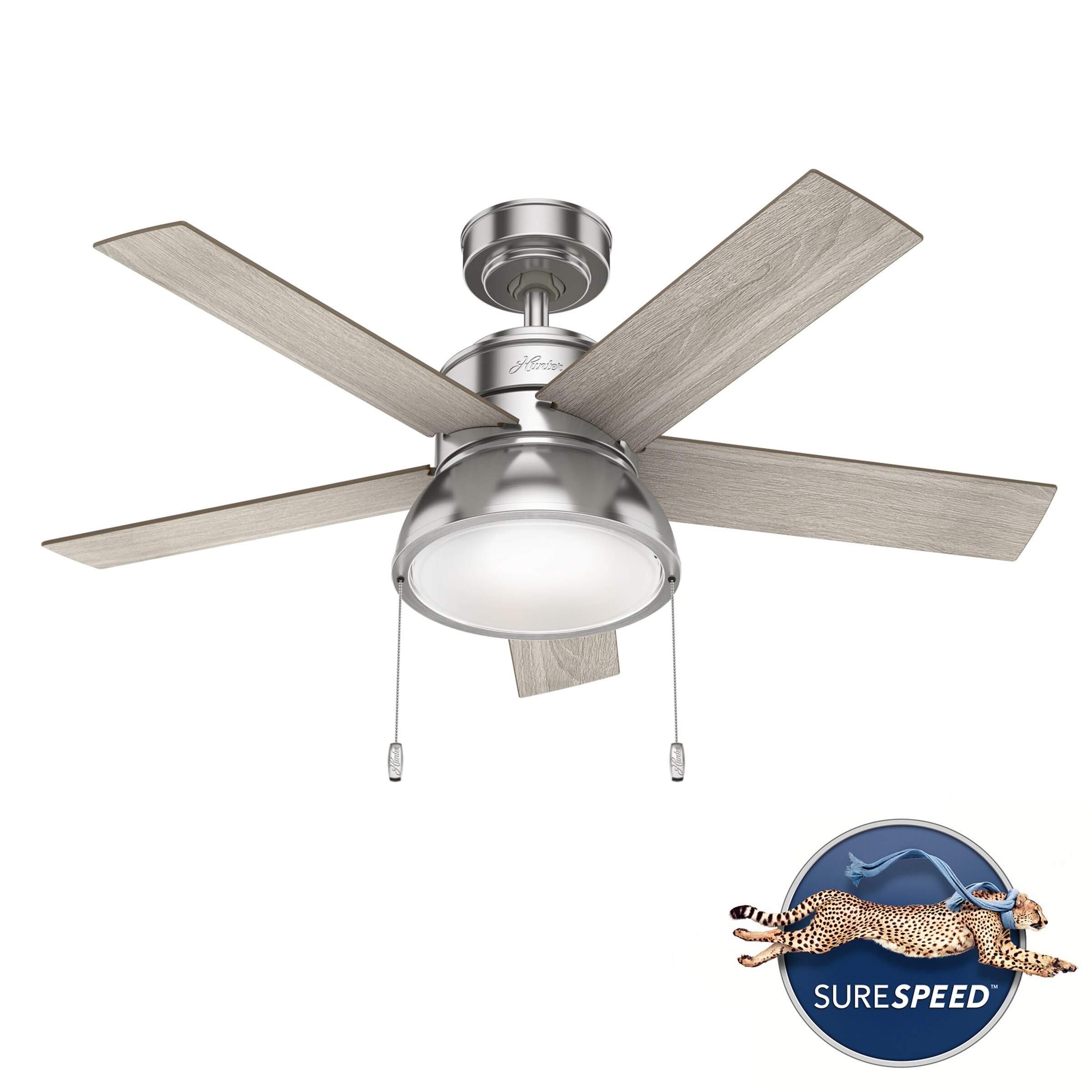 Indoor Ceiling Fans - Bed Bath & Beyond