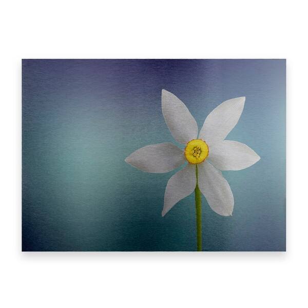 Bess Hamiti 'Flower Of Paradise' Floating Brushed Aluminum Art - Bed ...