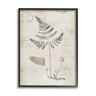 Stupell Antique Fern Woodland Plant Study Framed Giclee Art by Tina ...