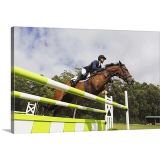 "Horse Rider Jumping Hurdle" Canvas Wall Art - Bed Bath & Beyond - 21001846
