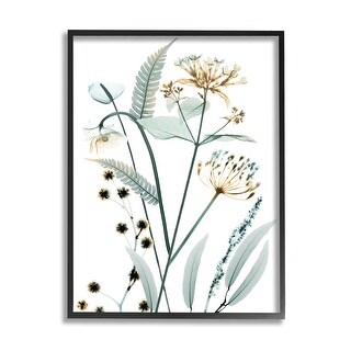 Stupell Spring Meadow Wildflowers Translucent Plant Photography Framed ...