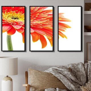 Designart "Orange Gerbera on White Background" Floral Framed Canvas ...