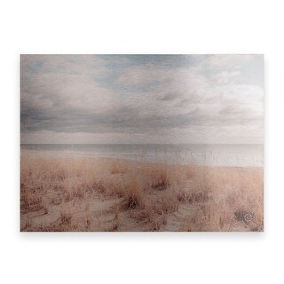 Nathan Larson 'Soft Oceans' Floating Brushed Aluminum Art - Bed Bath ...