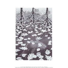 ''3 Worlds'' by M.C. Escher Optical Art Art Print (14 x 11 in.) - Bed ...