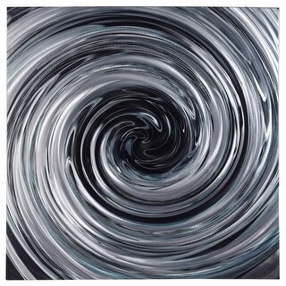 Laney - Swirl Circle - Brushed Aluminum Abstract Panel - Bed Bath ...