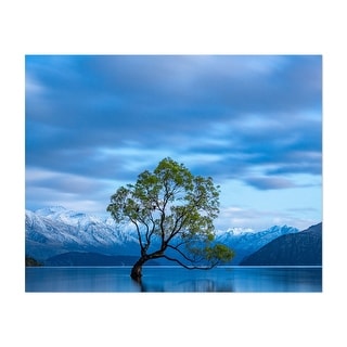 ThatWanakaTree Otago New Zealand Cloudy Wanaka Tree Art Print/Poster ...