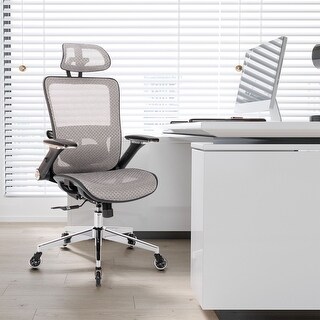 Grey Ergonomic Mesh Office Chair with Multi-Functionality and ...