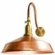 LED Outdoor Raw Copper Gooseneck Barn Light - Bed Bath & Beyond - 35992619