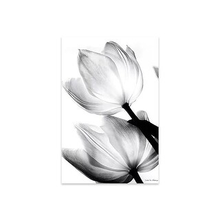 Translucent Tulips II Print On Acrylic Glass by Debra Van Swearingen ...