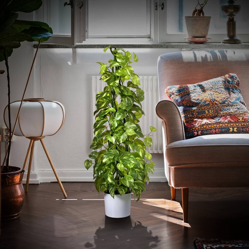 Potted Climbing Pothos 3', Natural Touch - Overstock - 32336952